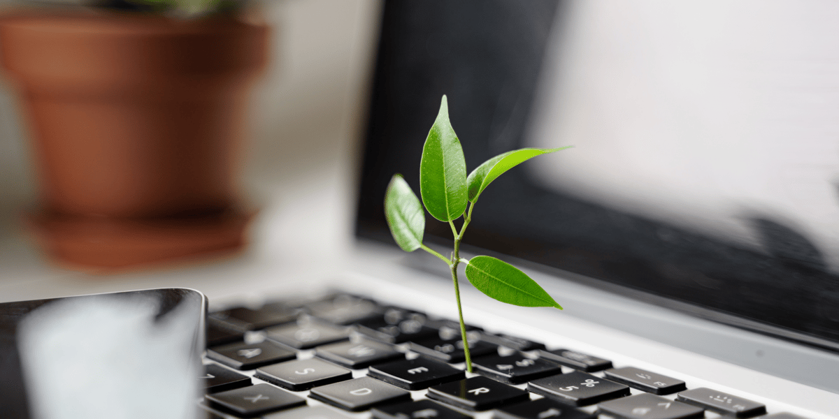 Achieving Sustainability in IT: How CIOs Can Drive Environmentally ...