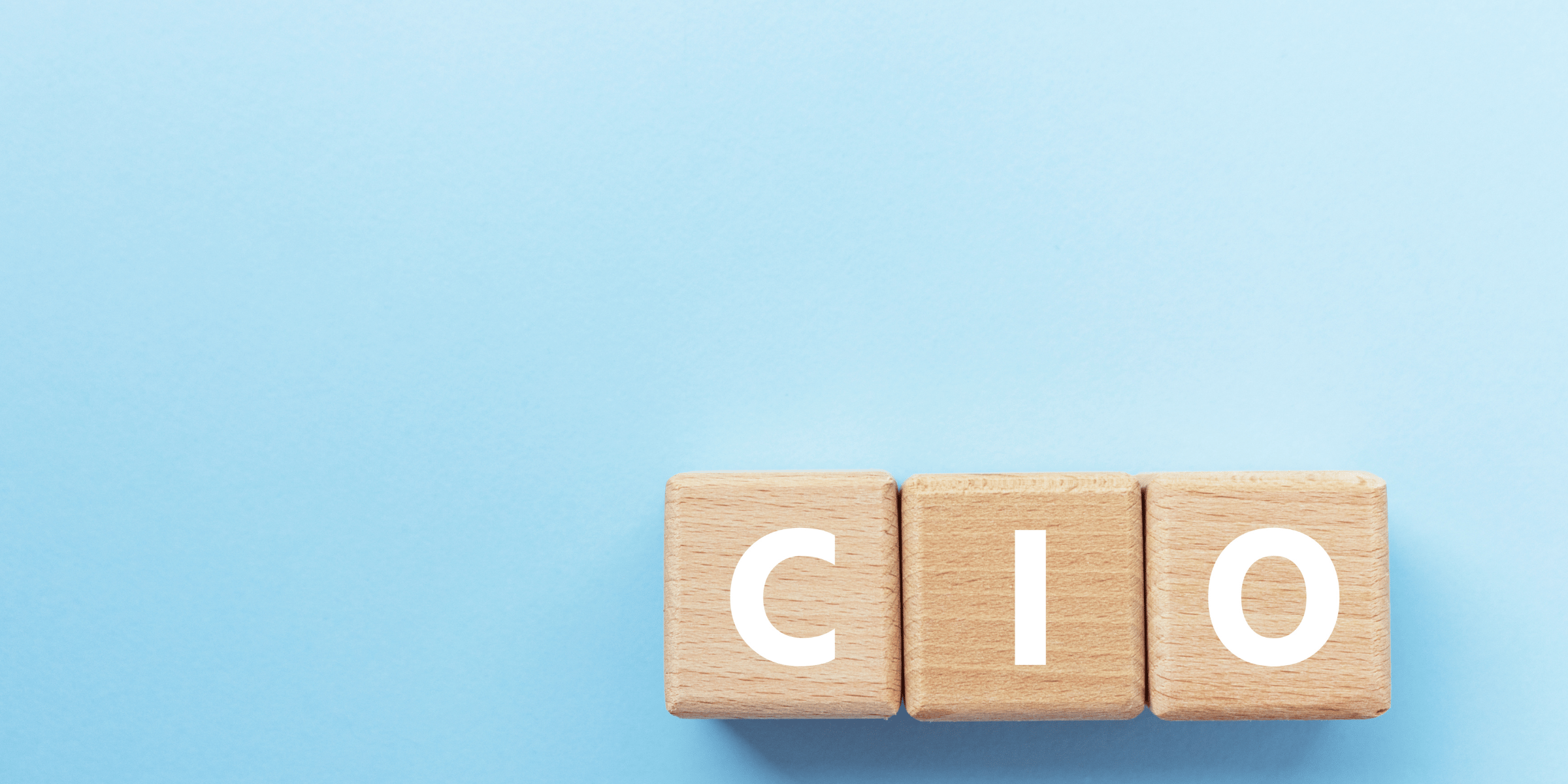 What is a CIO? - The CIO role in 2022 - The CIO Circle